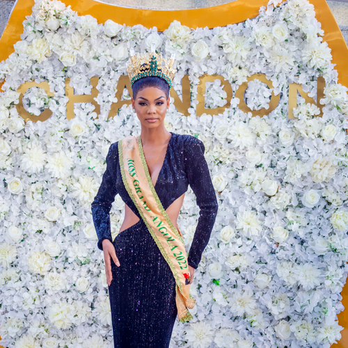 CHANDON, the Sparkling Wine Brand from LVMH Moët Hennessy Louis Vuitto
